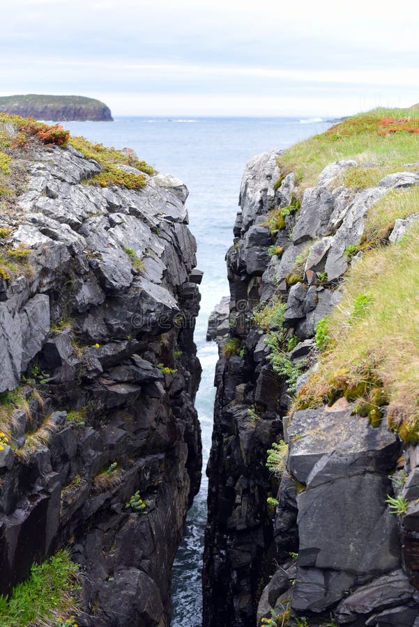 Rock crevice in the grass stock image. Image of leaves - 13360701