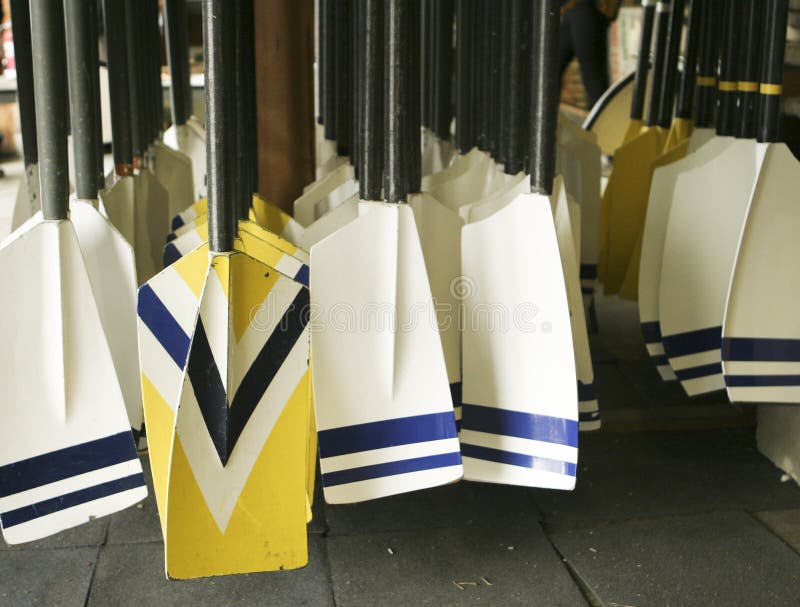 Rowing Team stock photo. Image of outside, water, floating - 2414482