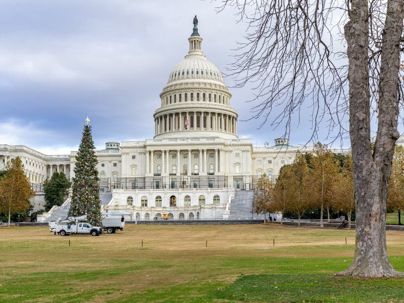 Crews on the Capital Groups Setting Our Nations Christmas Tree Stock ...