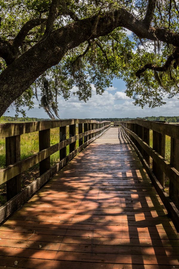 Boardwalk through the Marsh at Crews Lake Park Stock Image - Image of ...