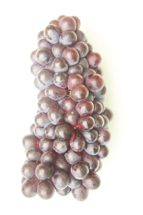 Pink Grape Fruit Isolated White Background Food SÃƒÂ£o Paulo Brazil ...