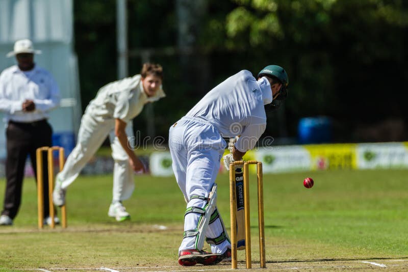 Cricket Action Sport editorial stock image. Image of high - 37460809