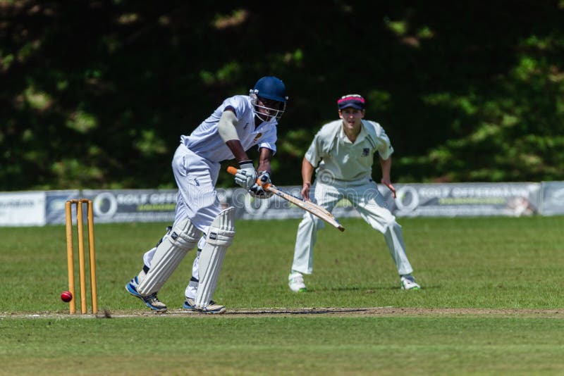 Cricket Action Sport editorial stock image. Image of sportsmanship ...