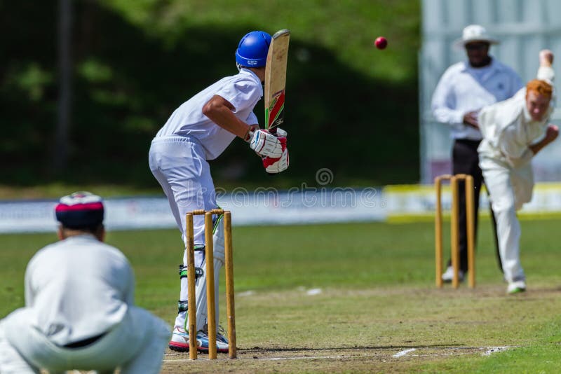 Cricket Action Sport editorial stock image. Image of high - 37460809