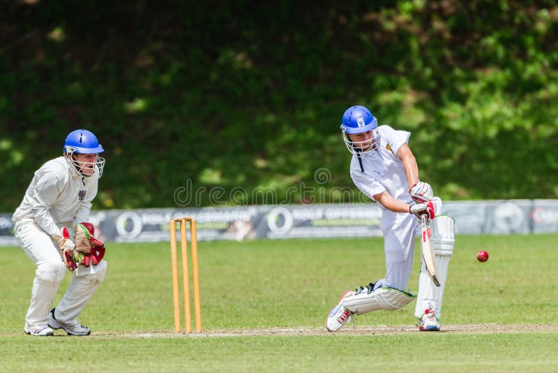 Cricket action editorial stock image. Image of human - 13199014
