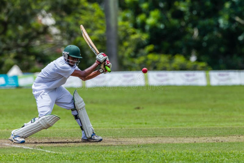 Cricket Game Players Action Editorial Image - Image of schools, crease ...