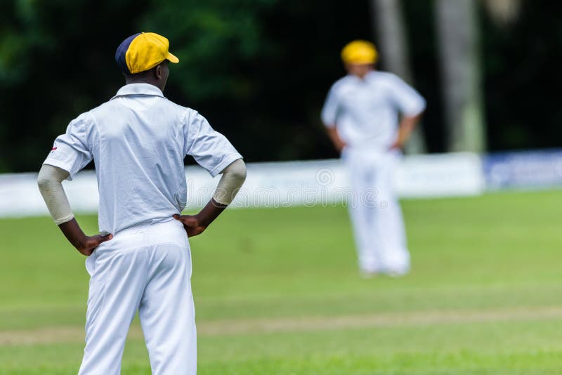 Cricket Action Sport editorial stock image. Image of mature - 37468784