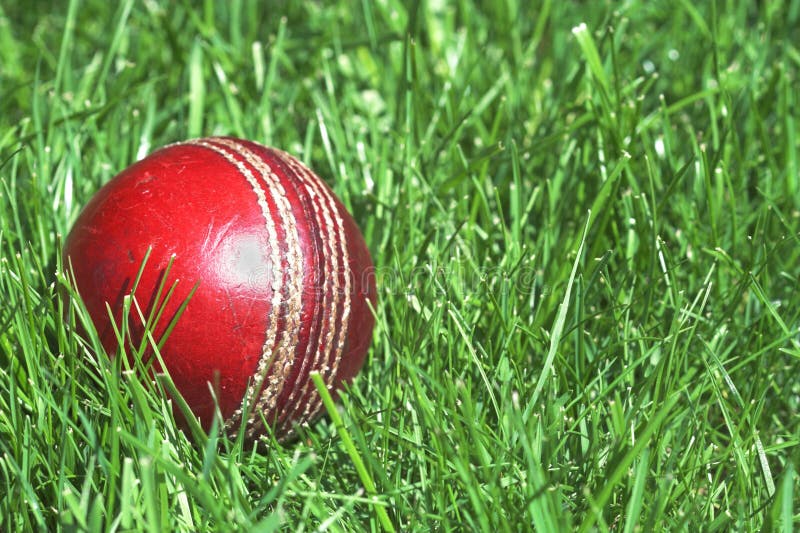 Cricket ball stock photo. Image of game, competition, enjoy - 743346