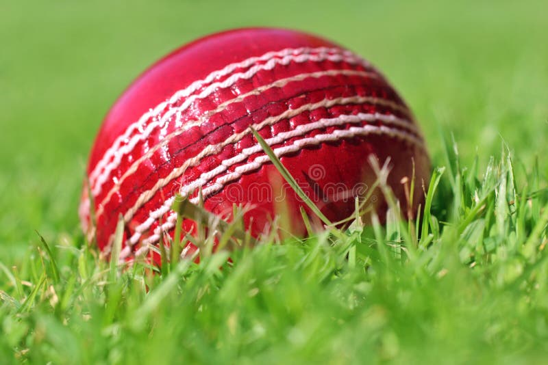 Cricket ball stock photo. Image of game, competition, enjoy - 743346