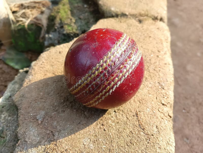 Cricket ball stock image. Image of play, fruit, sweetness - 279676041
