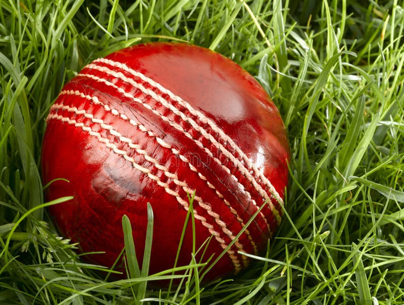 Cricket Ball stock photo. Image of recreation, grass - 45128068