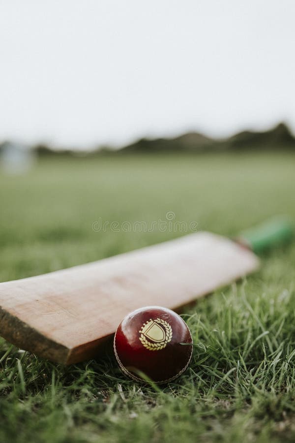 Cricket Bat and Ball on Green Grass Stock Photo - Image of leisure ...