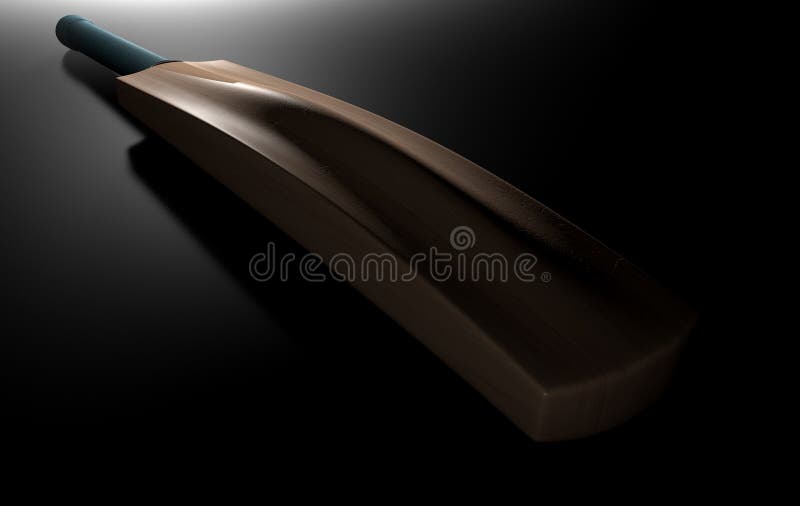 Cricket Paddle Stock Illustrations – 121 Cricket Paddle Stock ...