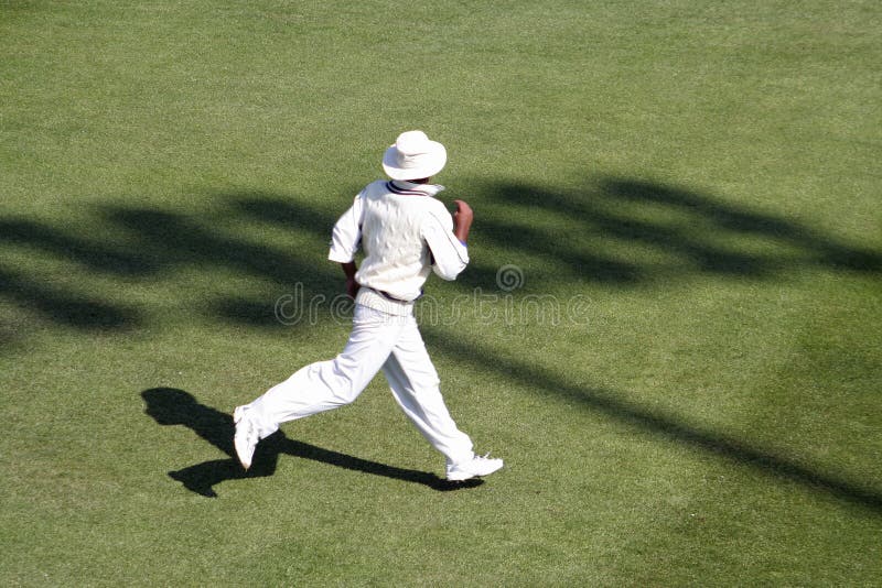 Cricket fielder stock image. Image of fielding, alone - 2306119