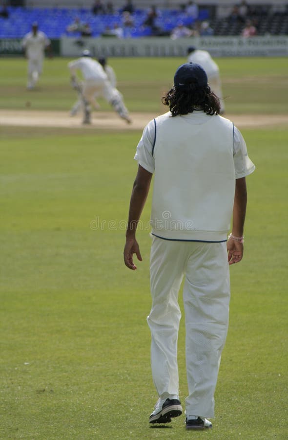 Cricket fielder stock photo. Image of championship, cricket - 2754200