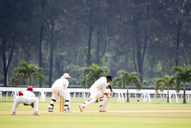 Cricket Game stock photo. Image of championship, pitch - 1518944