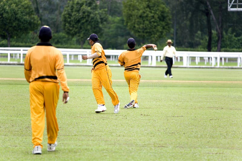 Cricket Game stock photo. Image of field, game, catch - 1518926