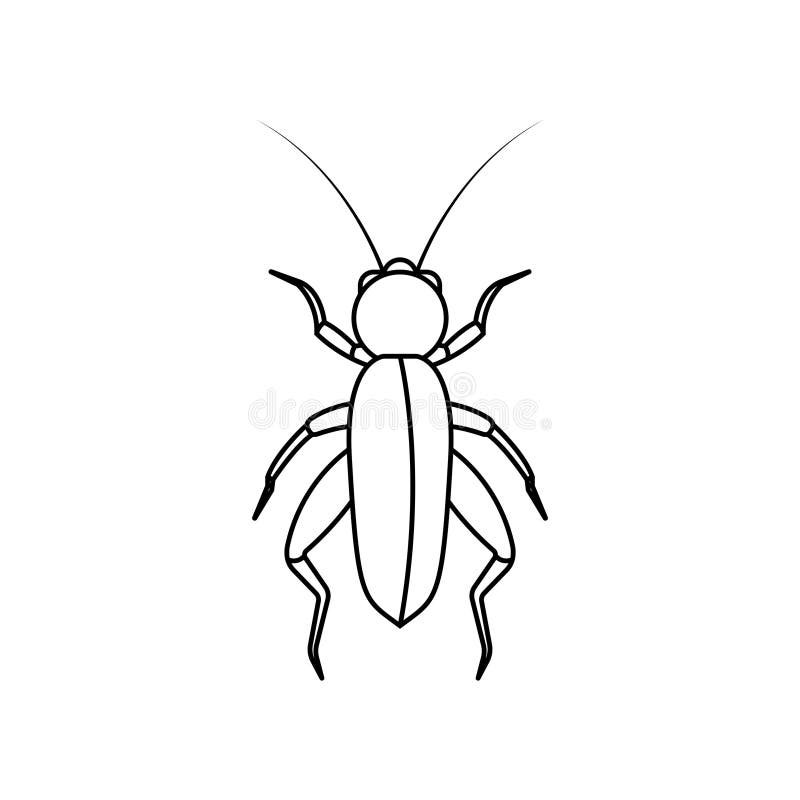 Cricket Insect Stock Illustrations – 5,134 Cricket Insect Stock ...