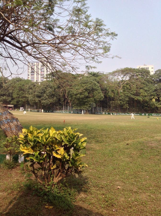 Cricket match in progress editorial photography. Image of cricket ...