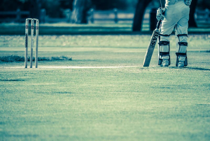 Cricket Match in the Park editorial photo. Image of adult - 88523016