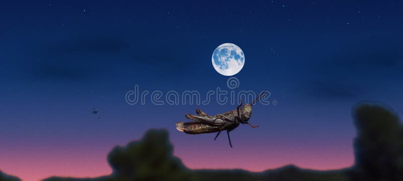 Cricket at Moon stock illustration. Illustration of moonlight - 229315302