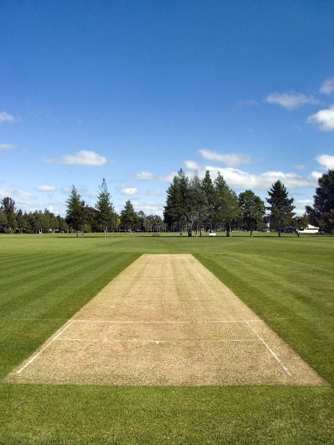 Cricket pitch in the park stock photo. Image of vibrant - 13824886