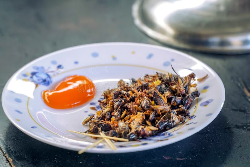 Cricket snack stock photo. Image of exotic, street, cuisine - 97755768