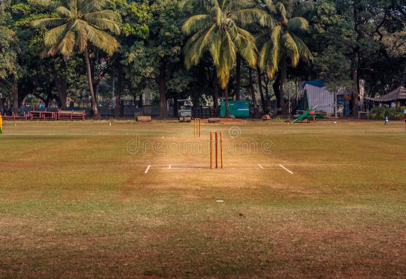Cricket Stumps and Bails stock photo. Image of sport - 10931616