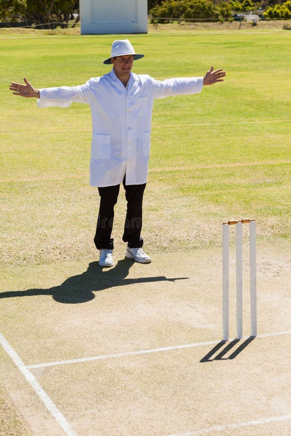 Cricket Umpire Signalling Wide Ball during Match Stock Image - Image of ...