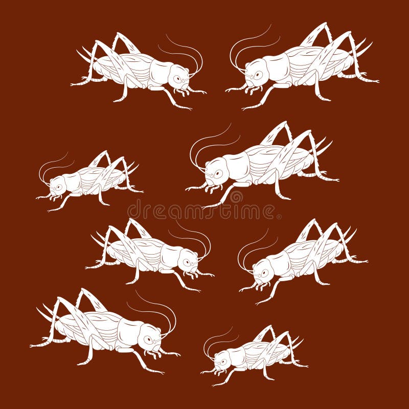 Cricket vector icon stock vector. Illustration of stencil - 309443041 Cricket vector icon stock vector. Illustration of stencil - 309443041