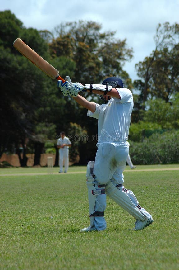 Cricketer Out Stock Photos - Free & Royalty-Free Stock Photos from ...