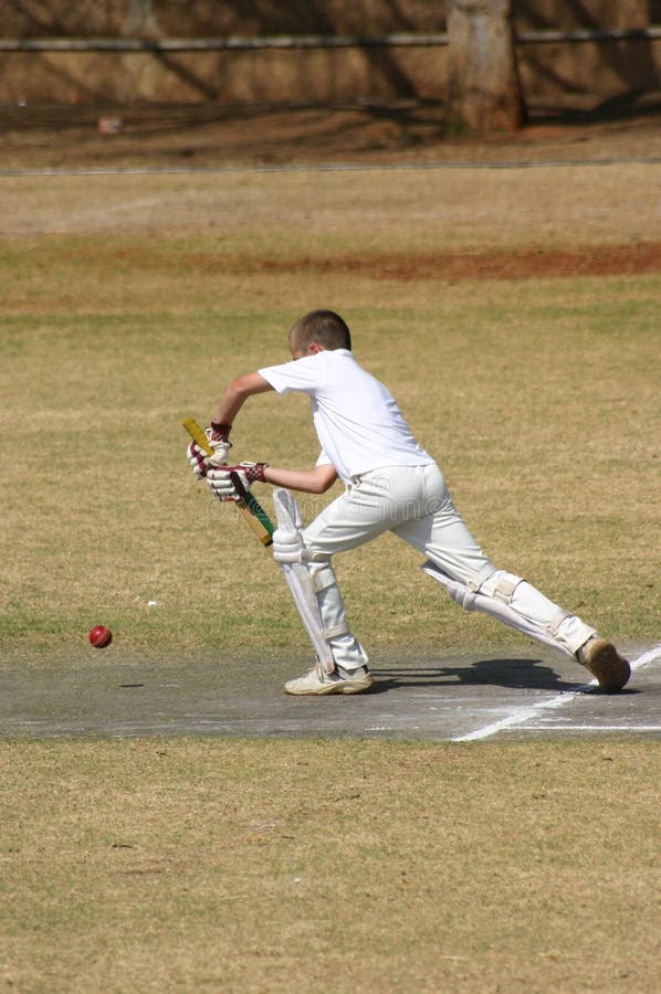 Cricket Batsman and a Catcher Stock Image - Image of keeper, bowling ...