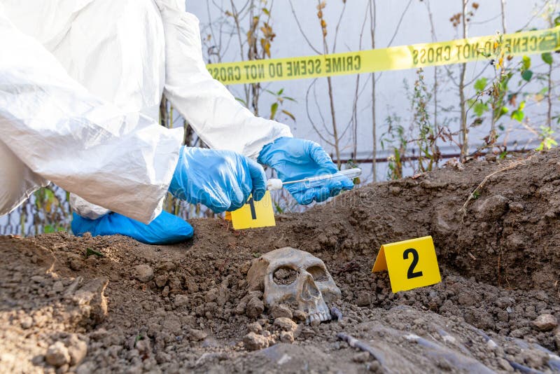 Forensic Science Specialist Working on Human Remains Identification ... Forensic Science Specialist Working on Human Remains Identification ...