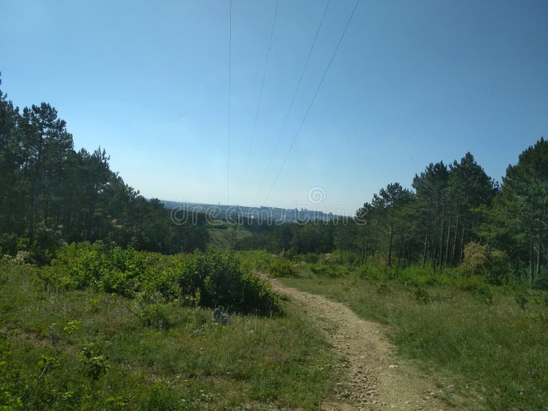 Crimean forest stock image. Image of green, forest, crimean - 152606765