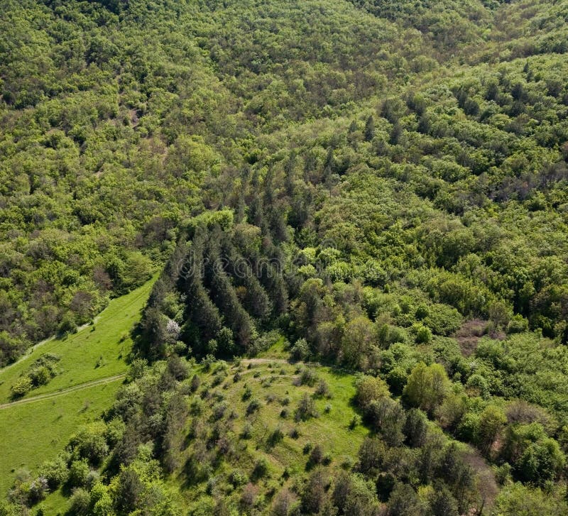 Crimean landscape stock image. Image of wild, view, birds - 21923461