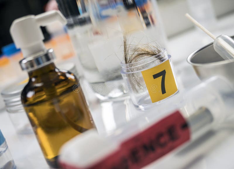 Criminalistic Laboratory, Hair Analysis Stock Photo - Image of person ...