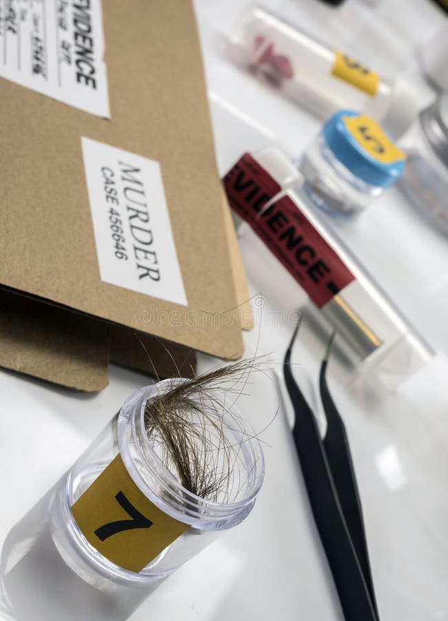 Criminalistic Laboratory, Hair Analysis Stock Image - Image of evidence ...