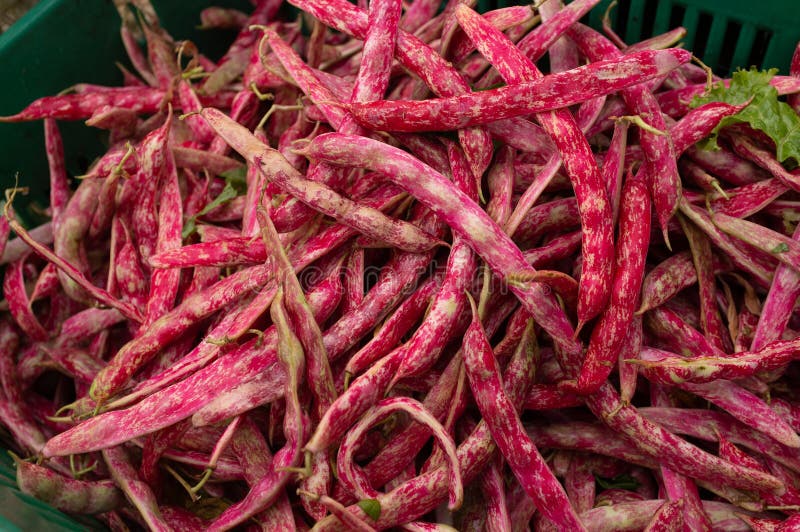 Crimson Beans in Street Market Stock Photo - Image of tasty, street ...