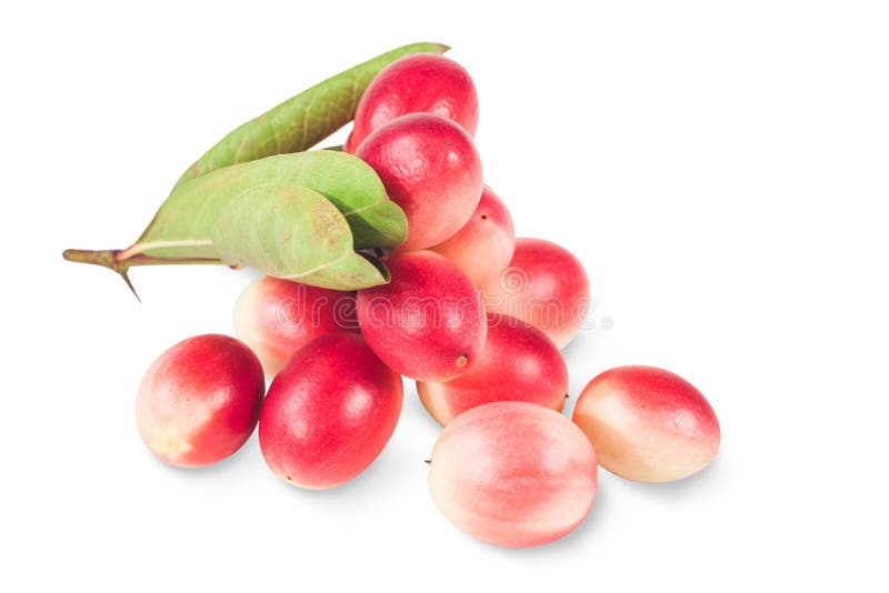 Crimson Fruit Named As Koromcha Stock Image - Image of summer, pickle ...