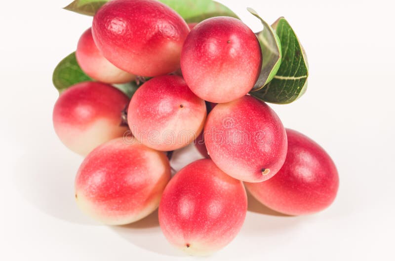 Crimson Fruit Named As Koromcha Stock Photo - Image of koromcha ...