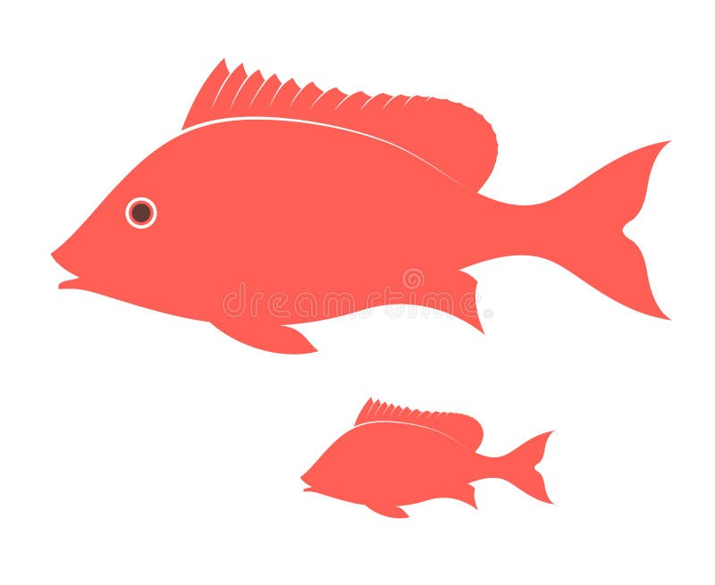 Pink Snapper Stock Illustrations – 118 Pink Snapper Stock Illustrations ...