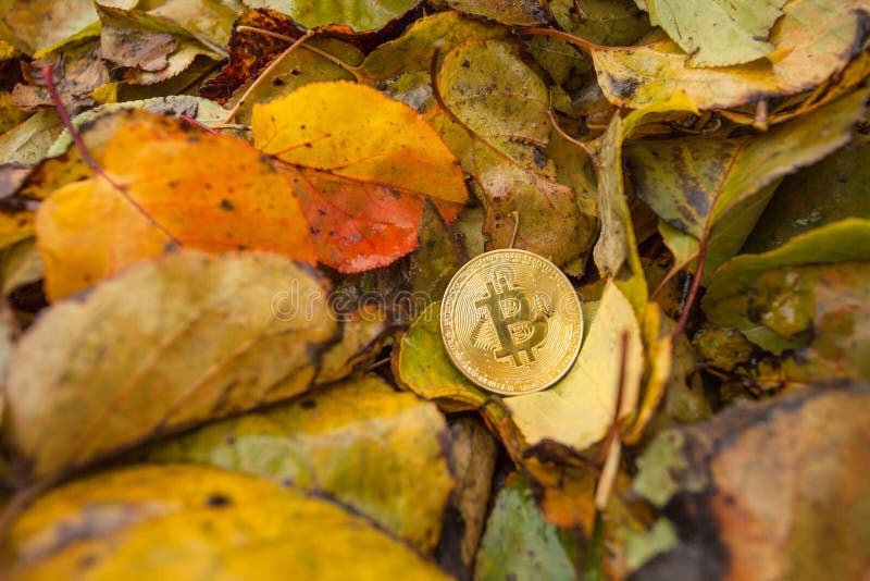 Criptocurrency: Bitcoin Power Consumption Sustainnability Stock Image ...