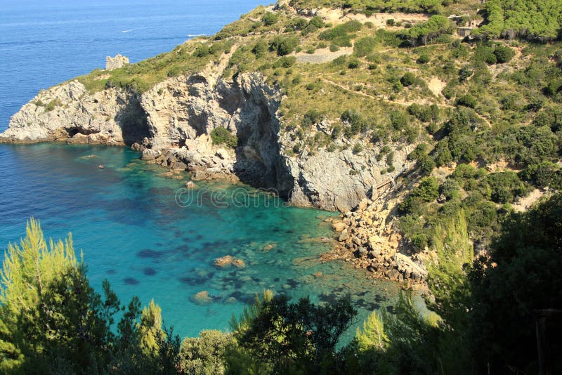 Crique image stock. Image du crique, littoral, course - 10778857