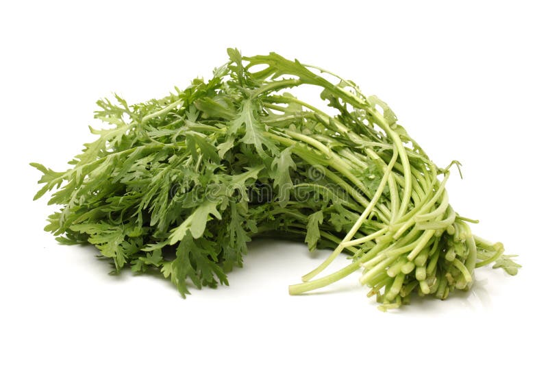 Hoja Comestible Del Crisantemo Foto de archivo - Imagen de cosechado ...