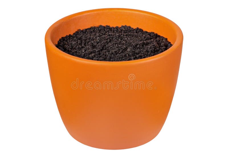 Crisol De Flor Con El Suelo Foto de archivo - Imagen de color, flor ...