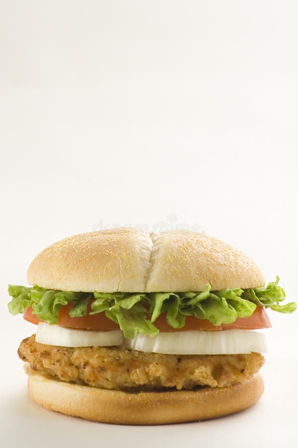 Crisp Chicken Burger Tomato Onion Cheese Lettuce Stock Image - Image of ... Crisp Chicken Burger Tomato Onion Cheese Lettuce Stock Image - Image of ...