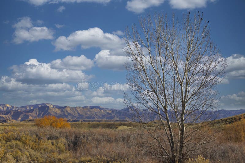 Crisp December View of the Bookcliffs Stock Image - Image of buttes ...