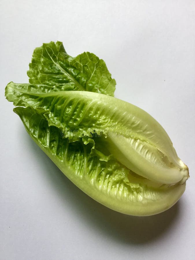 Crisp Lettuce. Organic. Fresh. Stock Photo - Image of foodporn, head ...