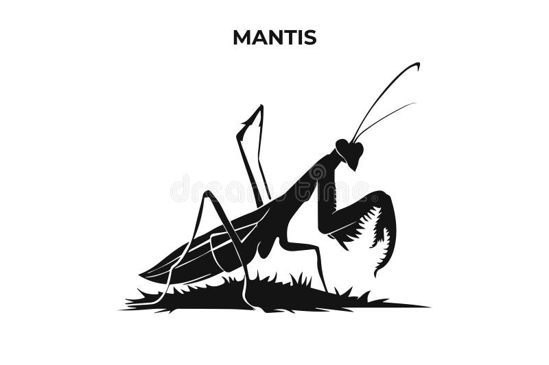 A Distinctive Mantis Silhouette for Multi-Format Design Projects ...