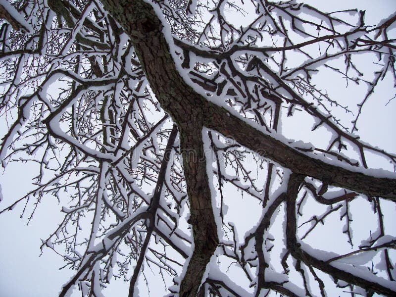 Crisp stock photo. Image of water, peaceful, snow, stunning - 41635058